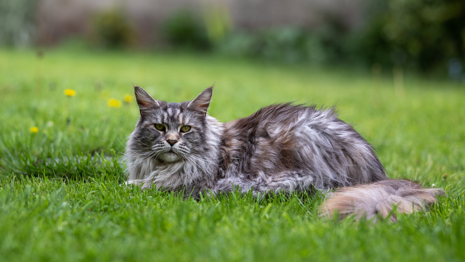 Cherry Tree Farm | Gallery