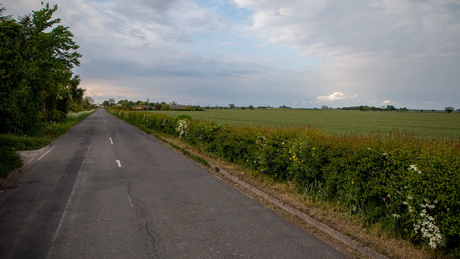 Cherry Tree Farm | Gallery