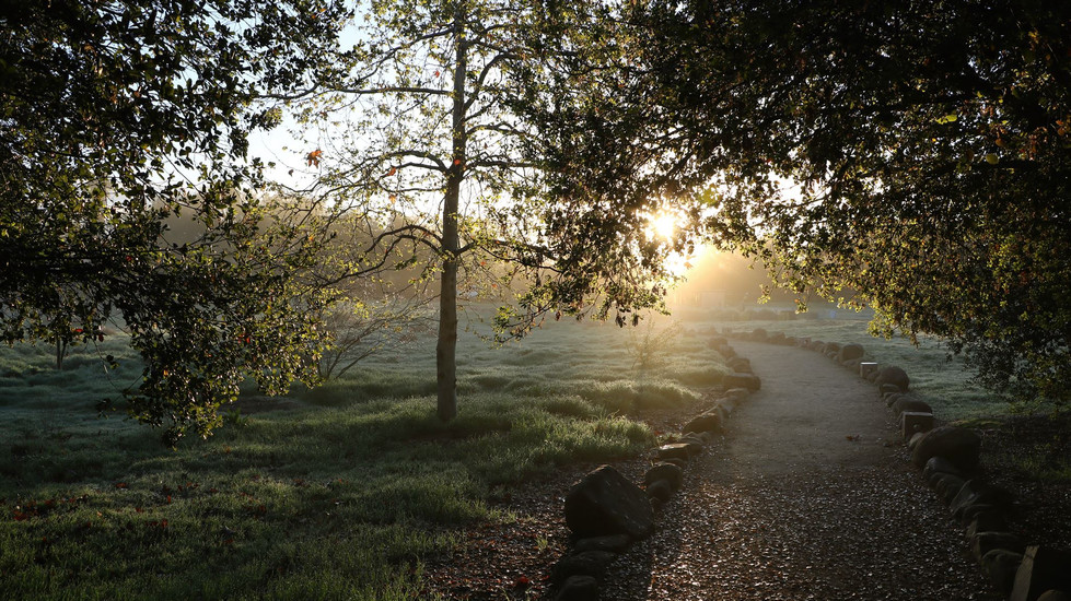 Home | Andy Gilman for Ojai