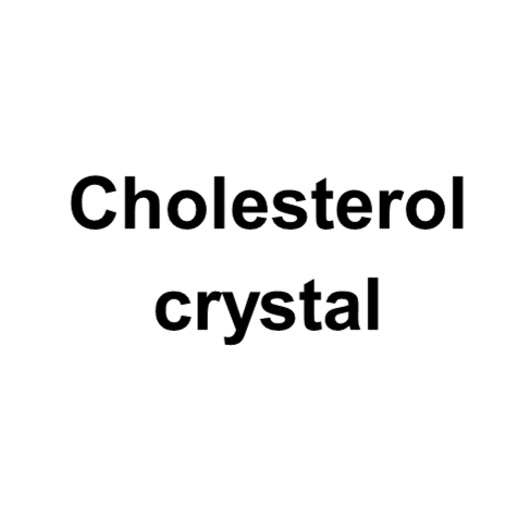Cholesterol crystal | RENATUS