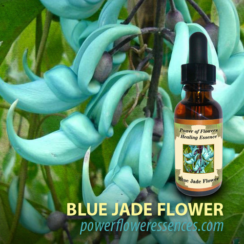 Blue Jade Flower Essence | Power of Flowers
