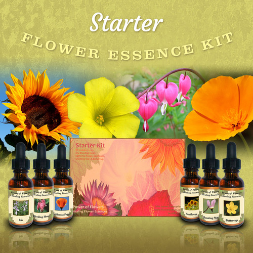 Starter Kit | Power of Flowers