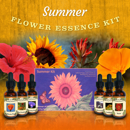 Summer Kit | Power of Flowers