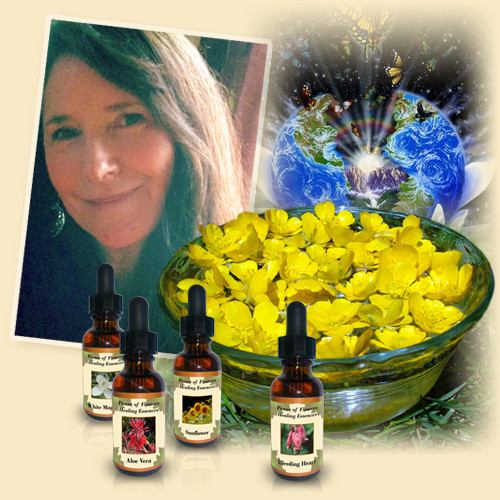 Mentorship / Classes / Coaching | Power of Flowers