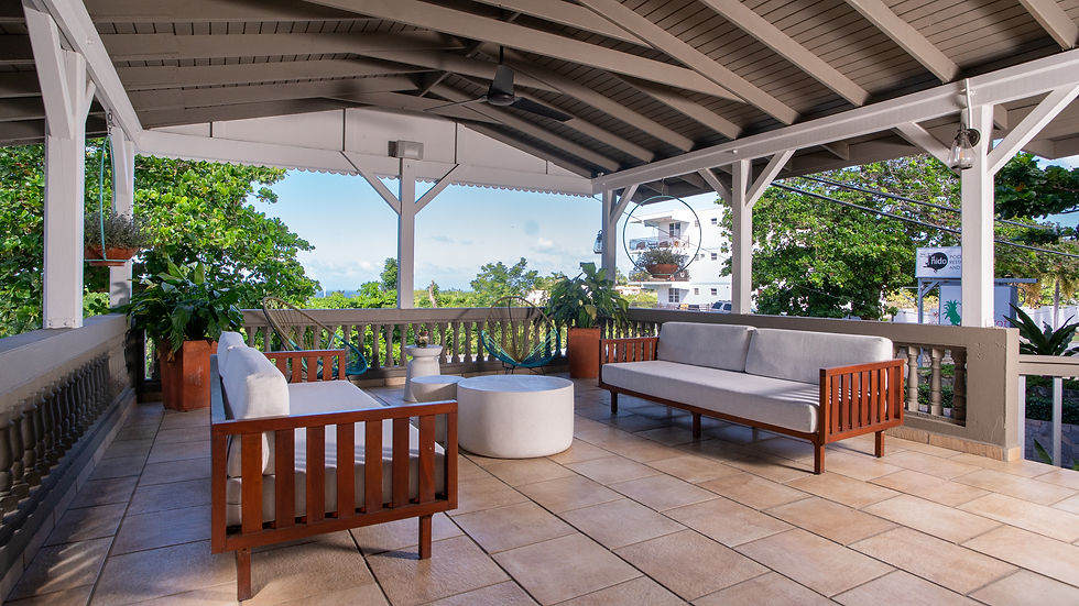 Lazy Parrot Inn | About