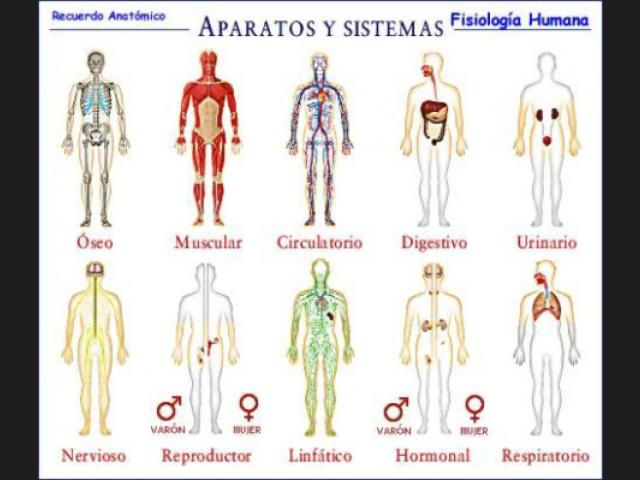 DIFERENCIA ENTRE SISTEMA Y APARATO