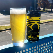 alexandria | aslin beer co