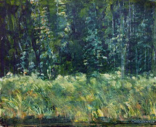 0224 Untiled Edge of Grassy Swamp, Pukaskwa Headwaters II | redcanoes