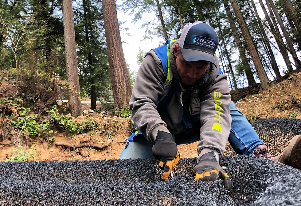 Evergreen Environmental - Growing results you can trust. | British Columbia