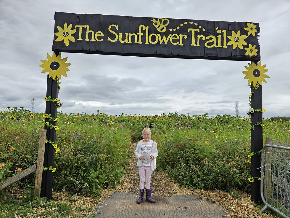 Dunham Massey Ice Cream Farm