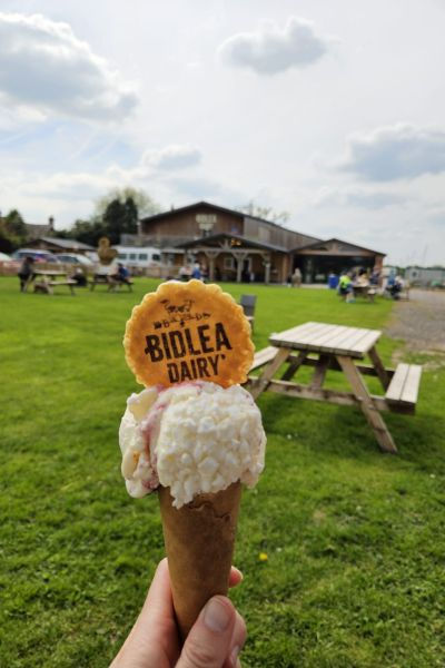 Bidlea Dairy