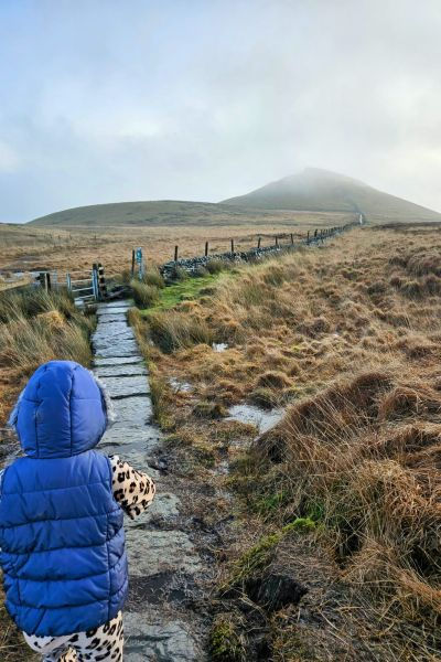 Shutlingsloe Walk