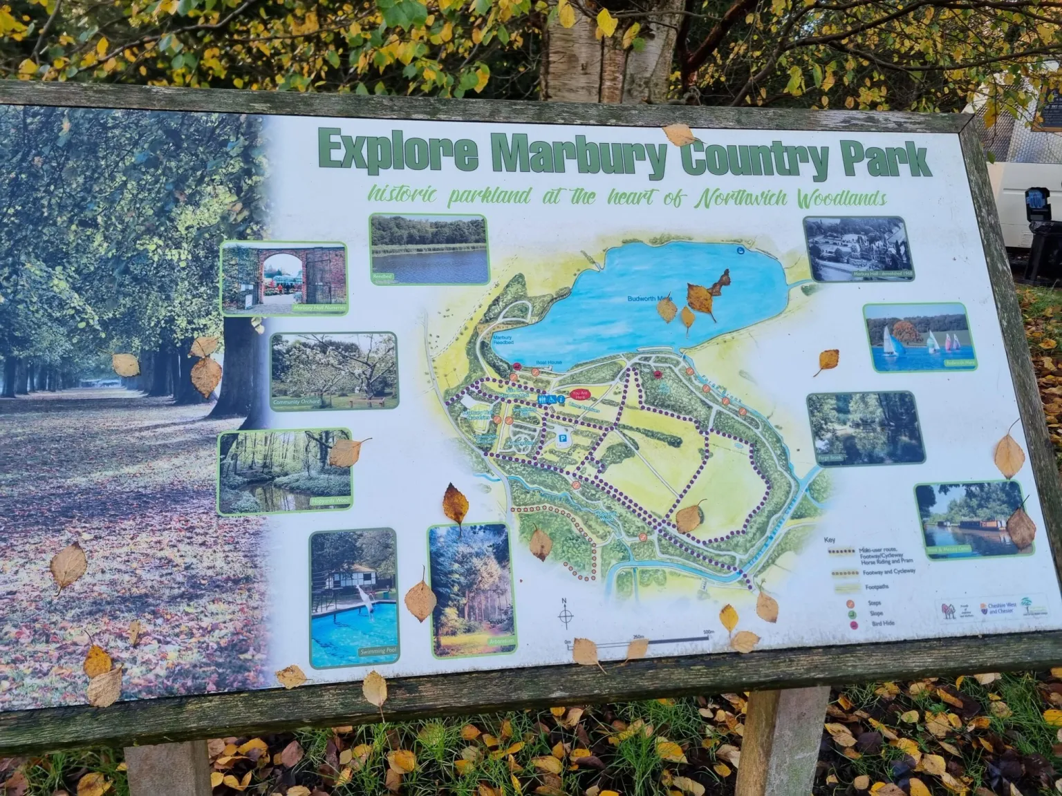 Marbury Country Park