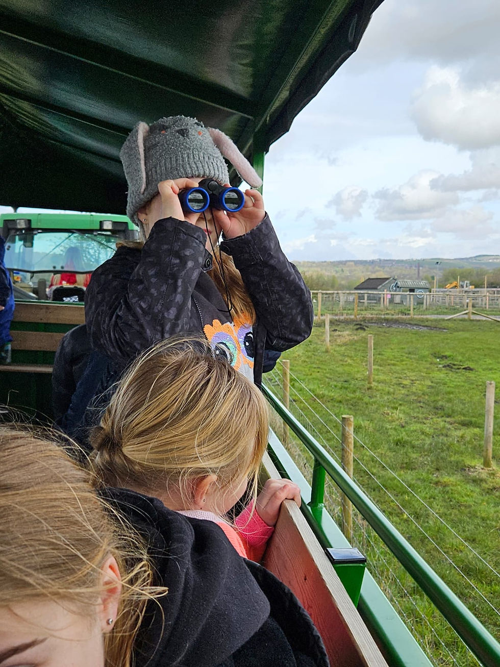 Cockfields Farm Park