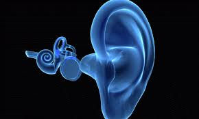 BPPV -Vestibular treatment - Physio Pattern Manchester