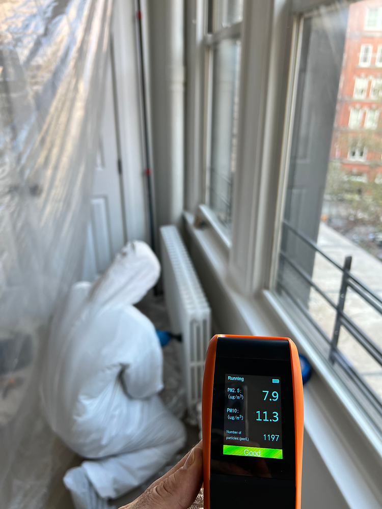 Dino 626 INC | mold inspection