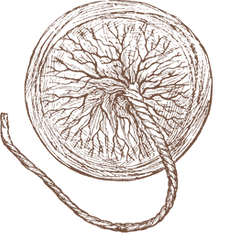 Placenta Encapsulation | The Doula Seed