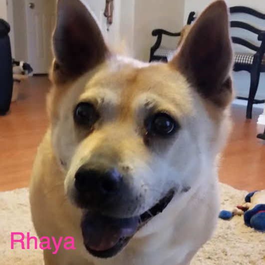 HSNT | Rhaya and Robby's Story