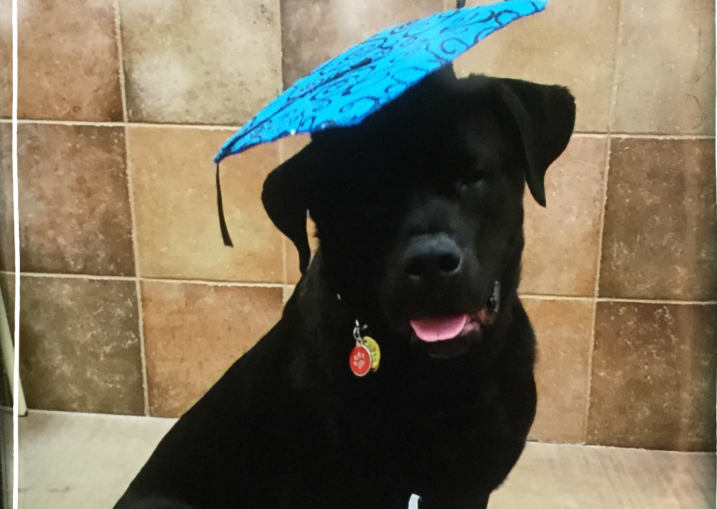 HSNT | Maximus' Story