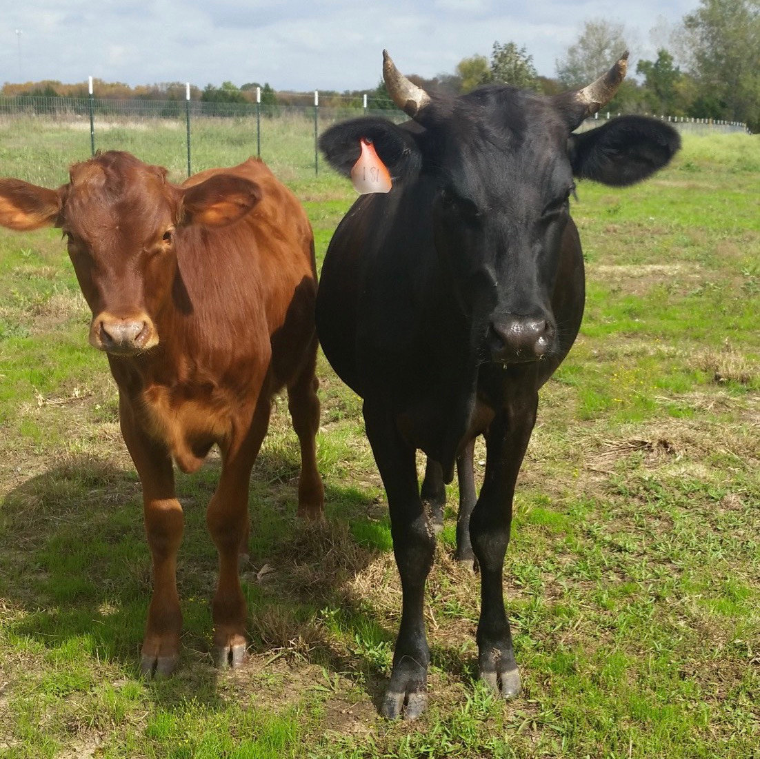 HSNT | Jasmine's Story