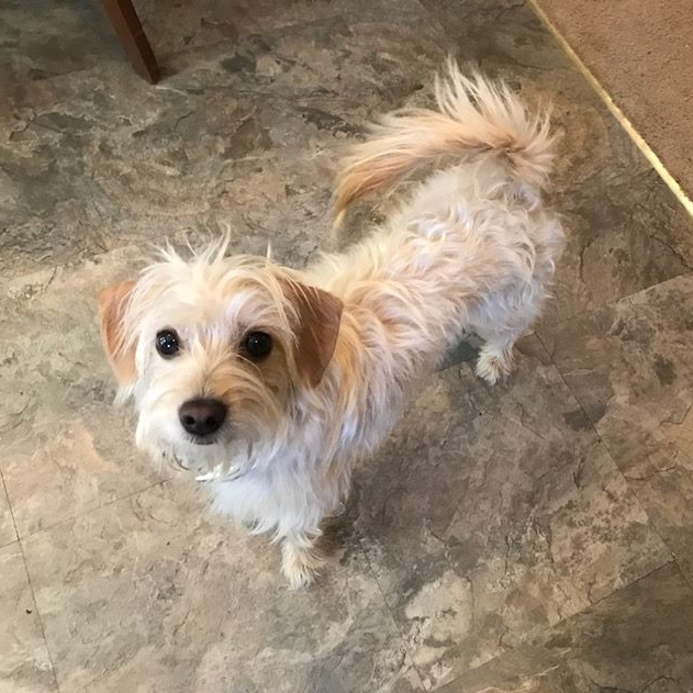 HSNT | Pearce's Story