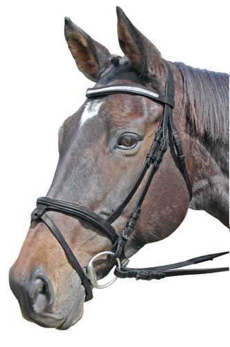 CAVALLINO SHAPED PADDED BRIDLE | scsaddlery