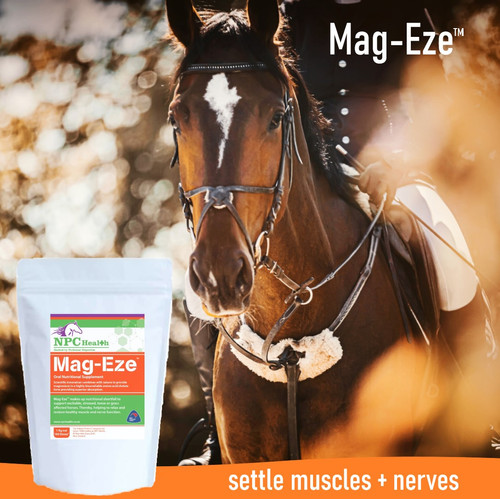 NPC MAG-EZE REGULAR POWDER - 1KG | scsaddlery