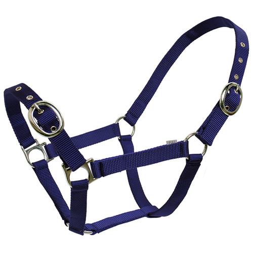 FLAIR WEB HALTER | scsaddlery