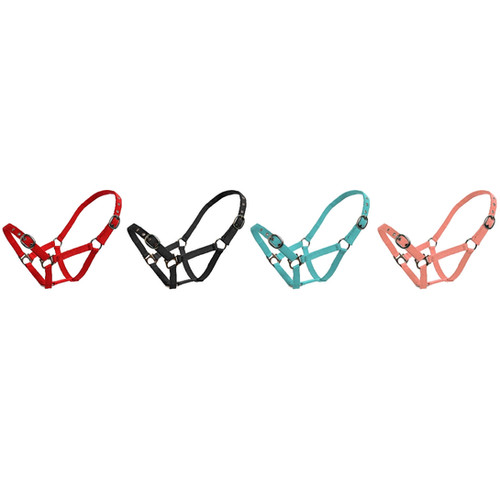 BLUE TAG WEB HALTER - SMALL SIZES | scsaddlery