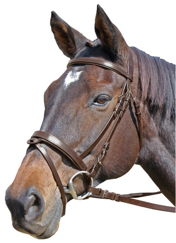 CAVALLINO FLAT PADDED BRIDLE | scsaddlery