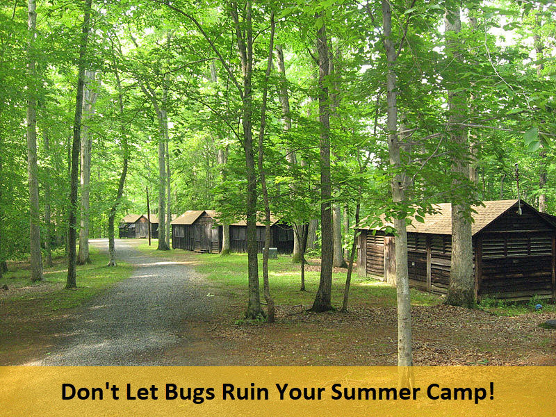 Get Rid of Bugs and Pests at Summer Camp | Sterifab | Bed Bug Blog