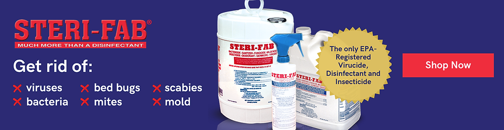 Bed Bugs v. Scabies | 5 Ways to Tell Scabies and Bed Bugs Apart ...