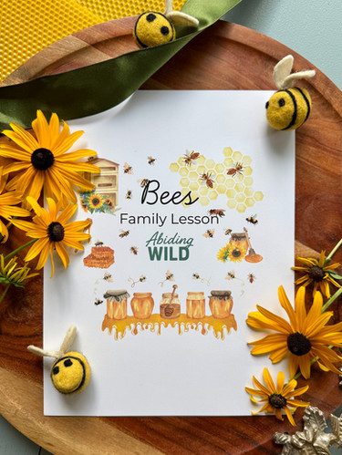 Bees Family Lesson | Abiding Wild