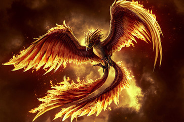 Gallery | Benny Productions