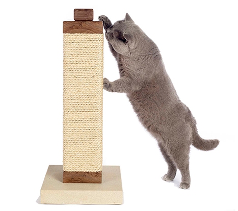 How to train your cat to use a scratch post…