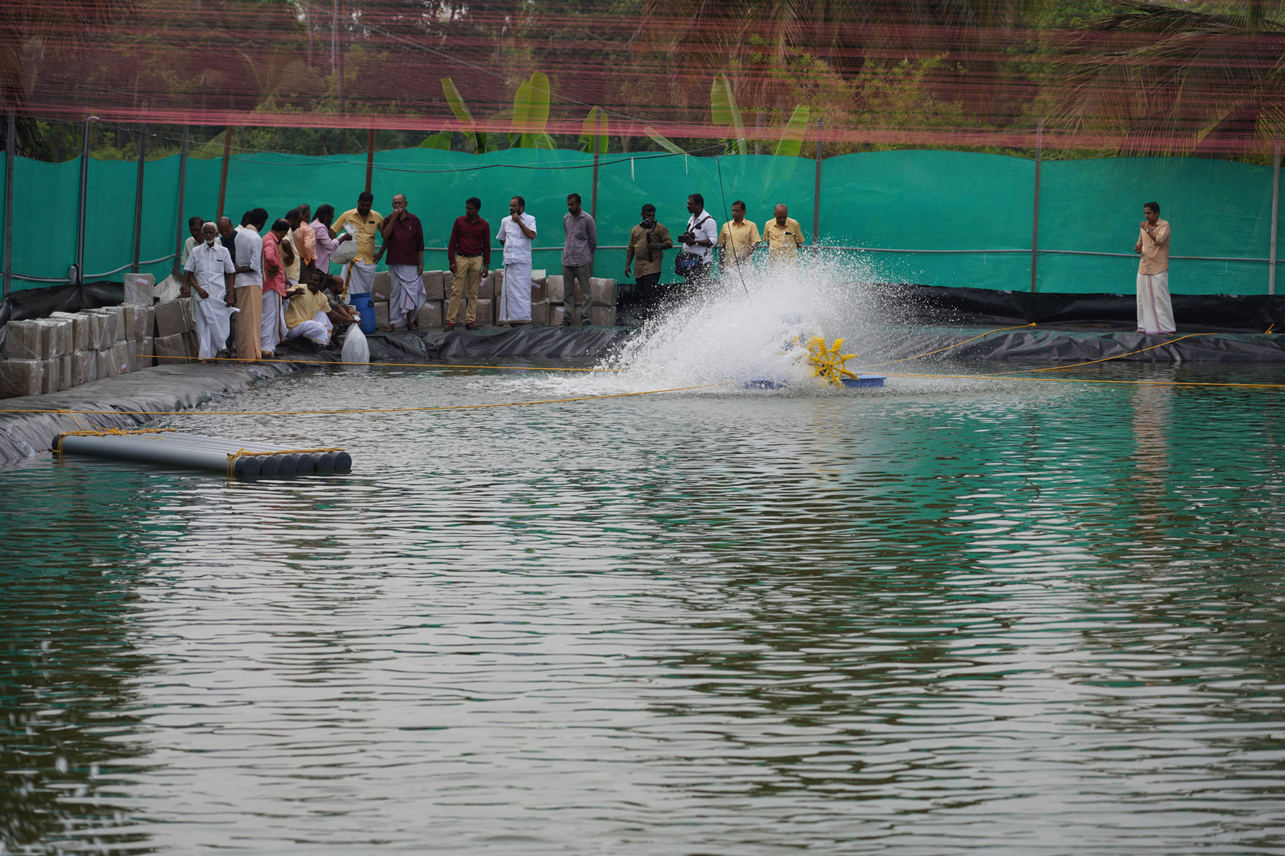 Our Farming | Marrian Fishes