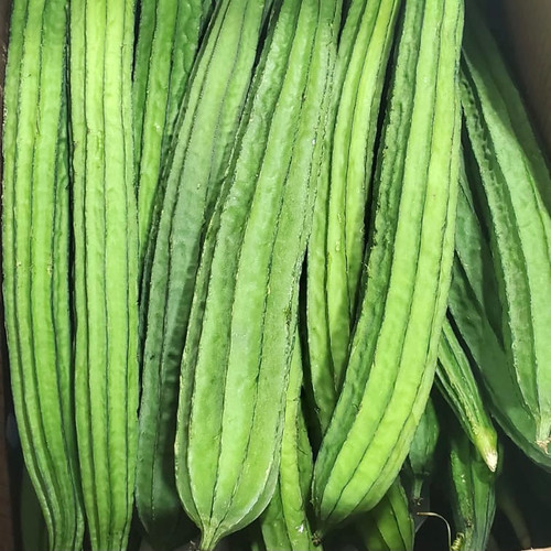 Sin Qua (Ridge gourd) 30# | Split Box Produce