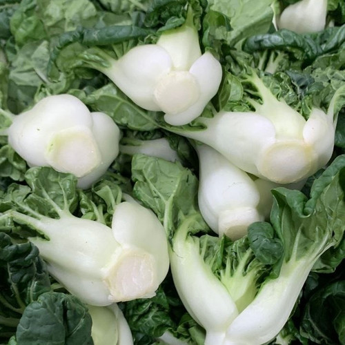 Bok Choy Mieu 20# | Split Box Produce