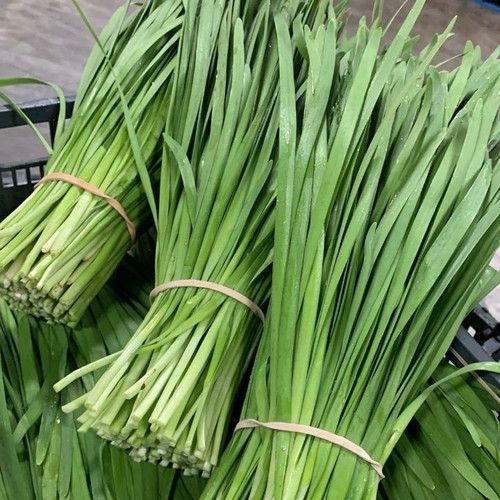 Chinese Green Chives 25# | Split Box Produce