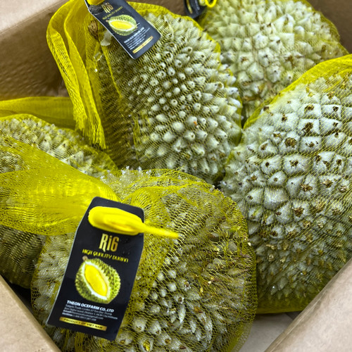 Durian- Ri-6 frozen 4-6ct (Vietnam) 26 lbs. | Split Box Produce