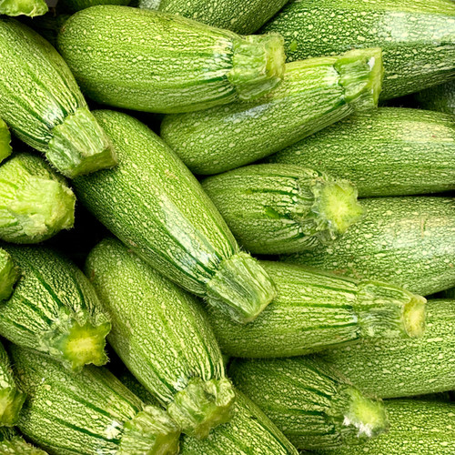 Grey Squash - White Zucchini 20# | Split Box Produce