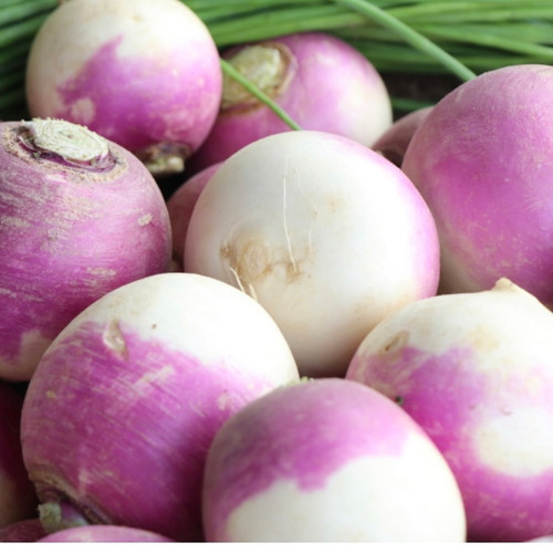 Turnips 25 lb. Sack | Split Box Produce