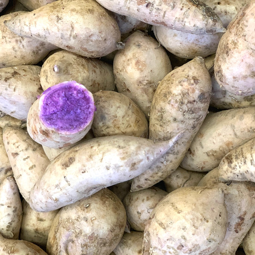 Hawaiian Purple Yam - Medium 30 lbs. | Split Box Produce