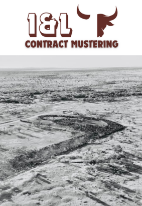 I&L CONTRACT MUSTERING | RFTTEJobs Employers | Australia