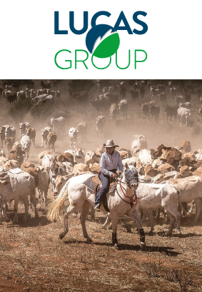 LUCAS GROUP | RFTTEJobs Employers | Australia