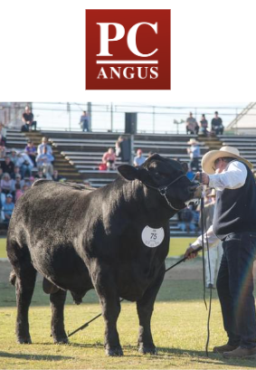 PC ANGUS | RFTTEJobs Employers | Australia