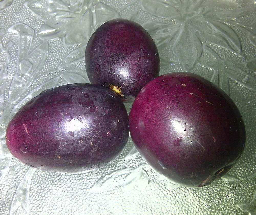 Jumun Seed and Benefits