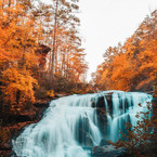 Content Creation | Austin Schrock