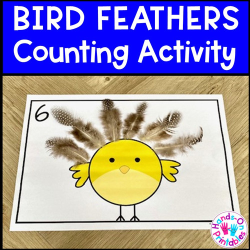 Counting Bird Feathers Activity 1-10 | Hands-On Printables