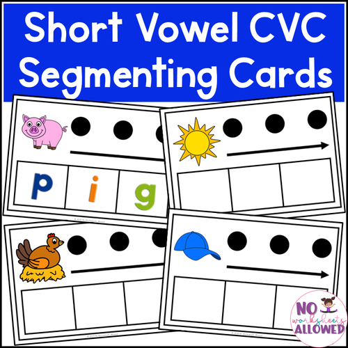 Short Vowel CVC Segment and Spell Cards | NoWorksheetsAllowed
